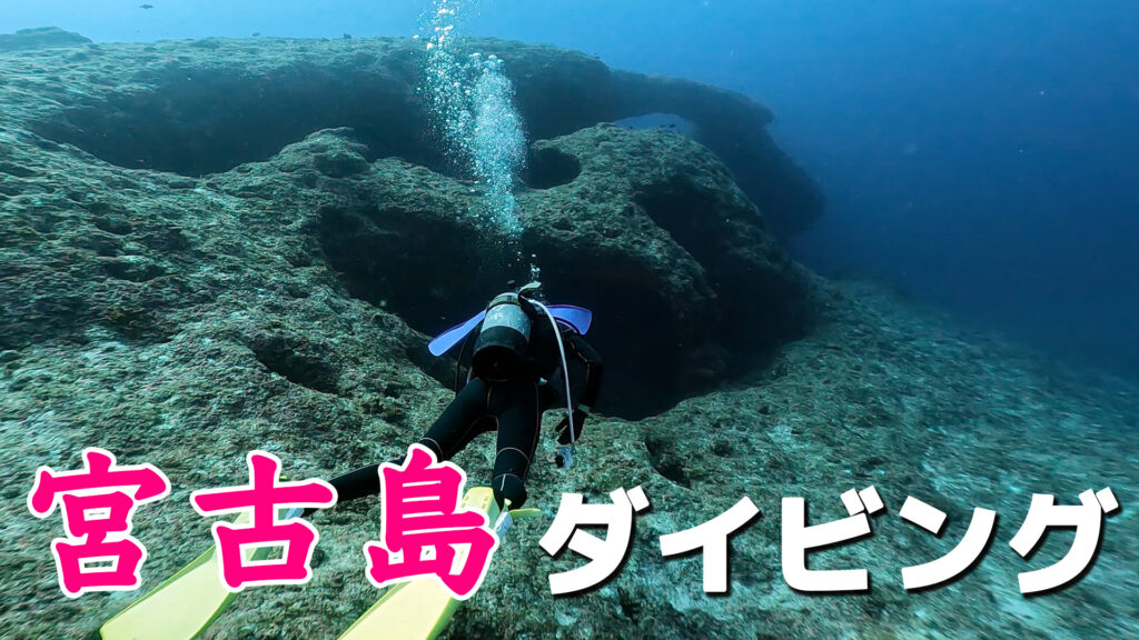 【2025年ベストライト】 ダイビングでよく使ってる水中ライト | ダイビングと旅 SHIRO DIVE