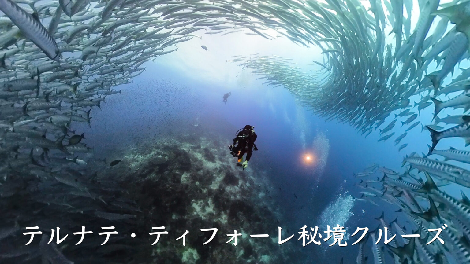 ダイビングと旅 SHIRO DIVE